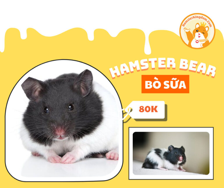 Hamster Kingdom – Chuột hamster, thức ăn chuột hamster, chuồng hamster ...