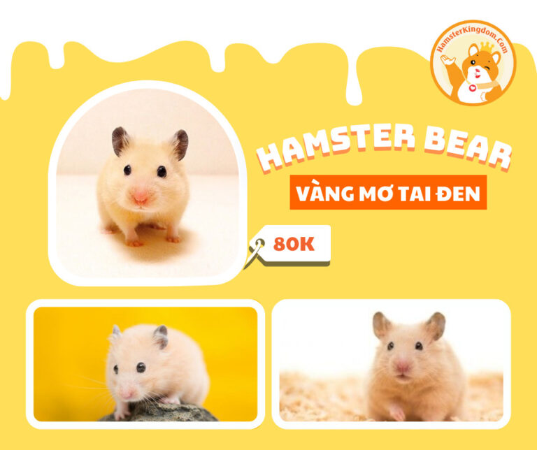 Hamster Kingdom – Chuột hamster, thức ăn chuột hamster, chuồng hamster, lồng chuột hamster, đồ ...