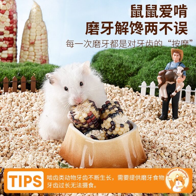 Trang chủ - Hamster Kingdom